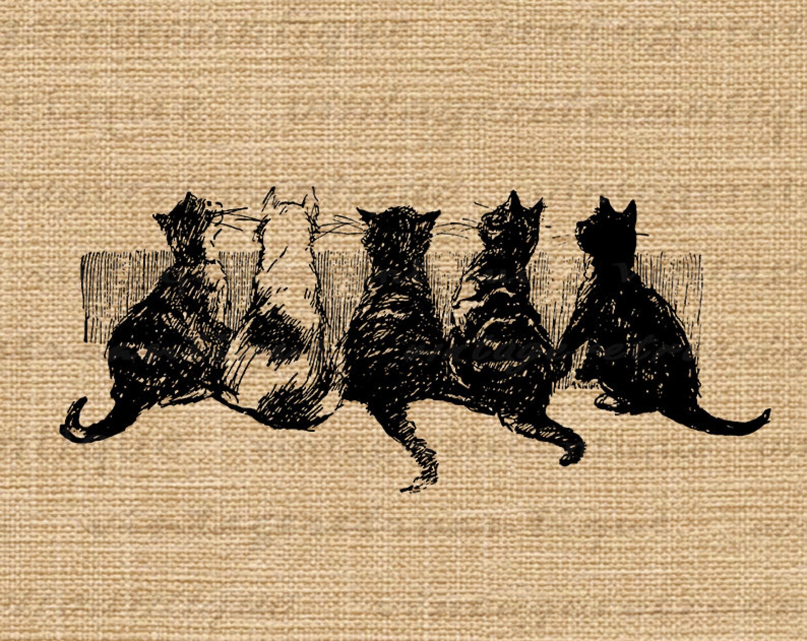 Kittens in Row Cat Digital Graphic Printable Cats Illustration - Etsy