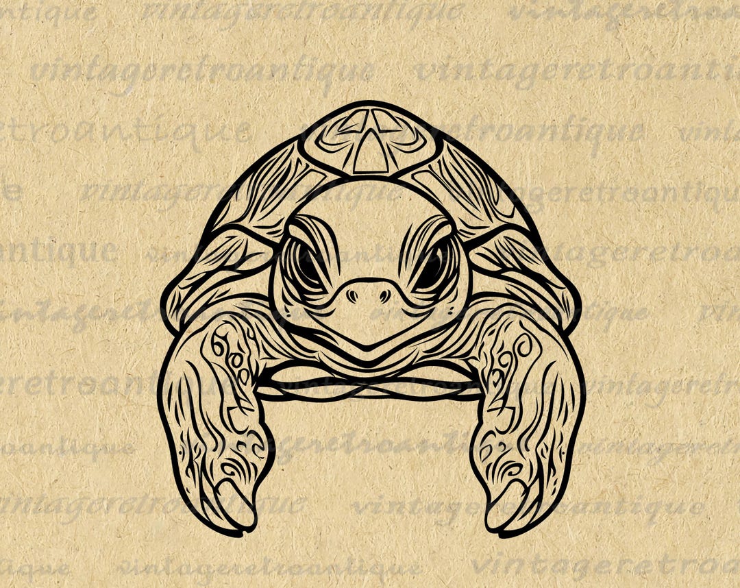Intricate Sea Turtle Line Art Printable - Digital Wall Art PNG JPG ...