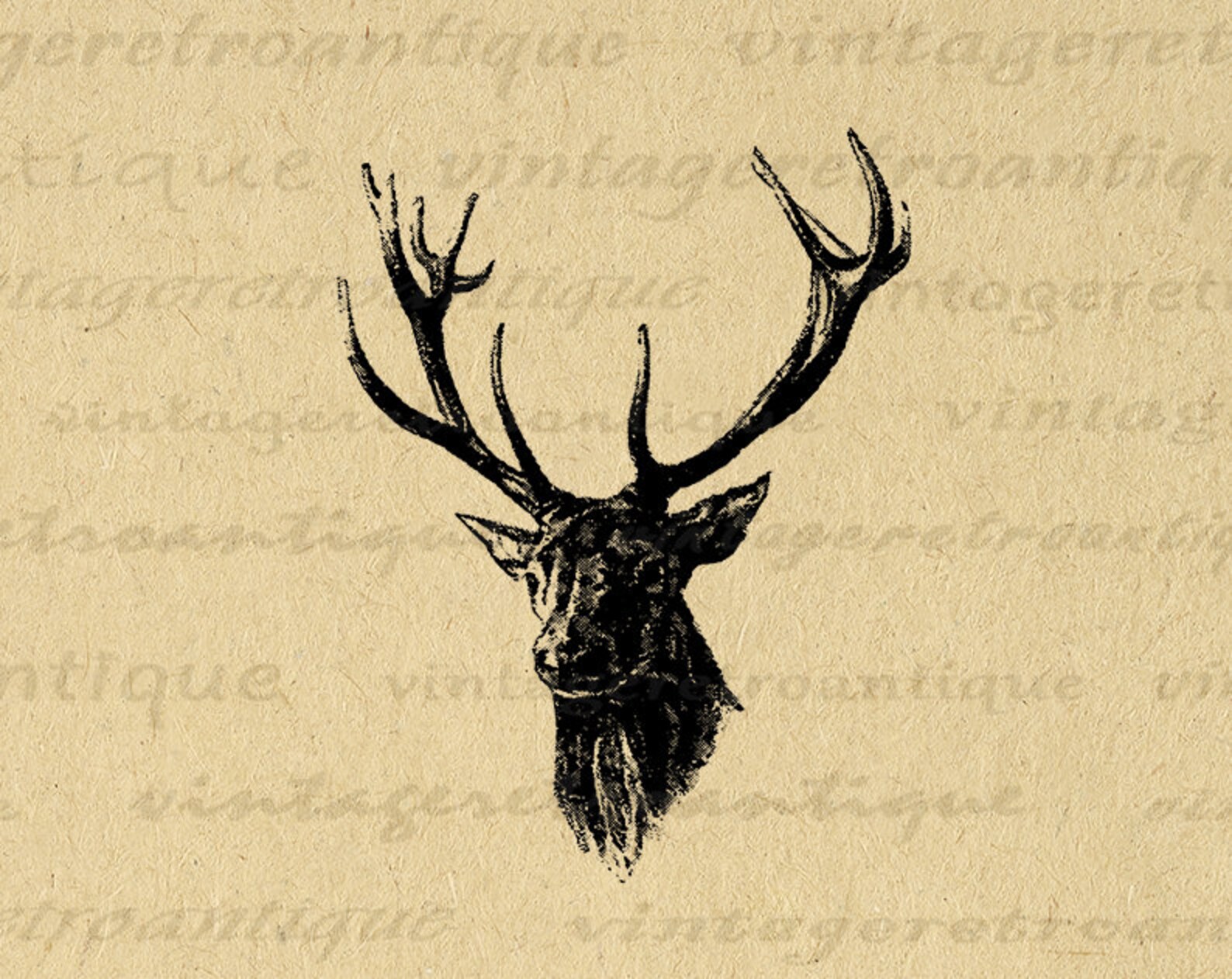 Printable Image Antique Deer Digital Download Deer With Antlers ...