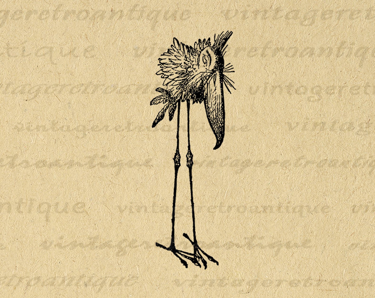 Printable Alice in Wonderland Borogoves Bird Digital Illustrated ...