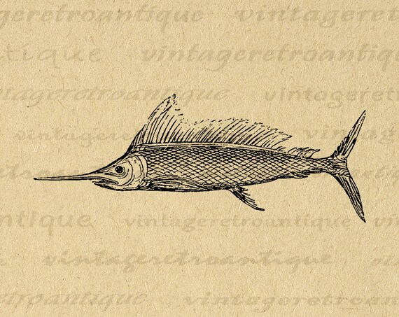 Printable Swordfish Graphic Fish Illustration Digital Image | Etsy