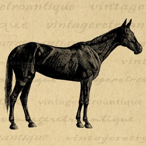 Printable Digital Antique Horse Graphic Illustration Image Farm Animals ...