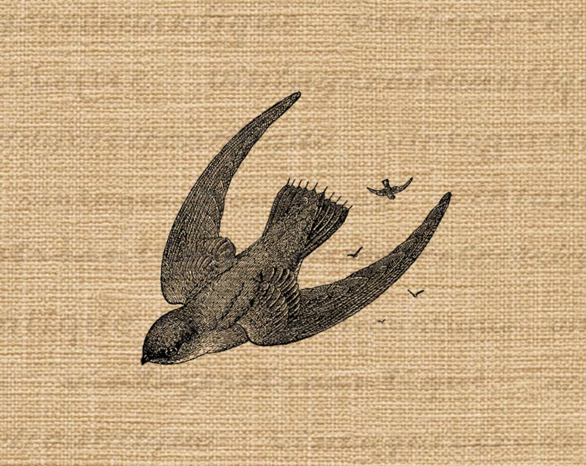 Digital Printable Flying Birds Graphic Bird Image Download | Etsy