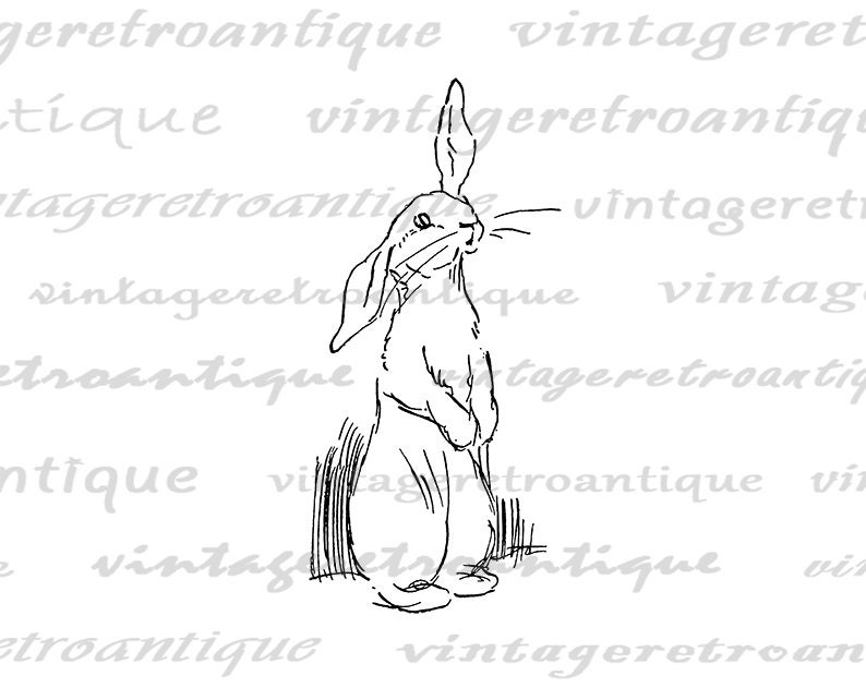Printable Cute Bunny Rabbit Digital Download Graphic Image - Etsy