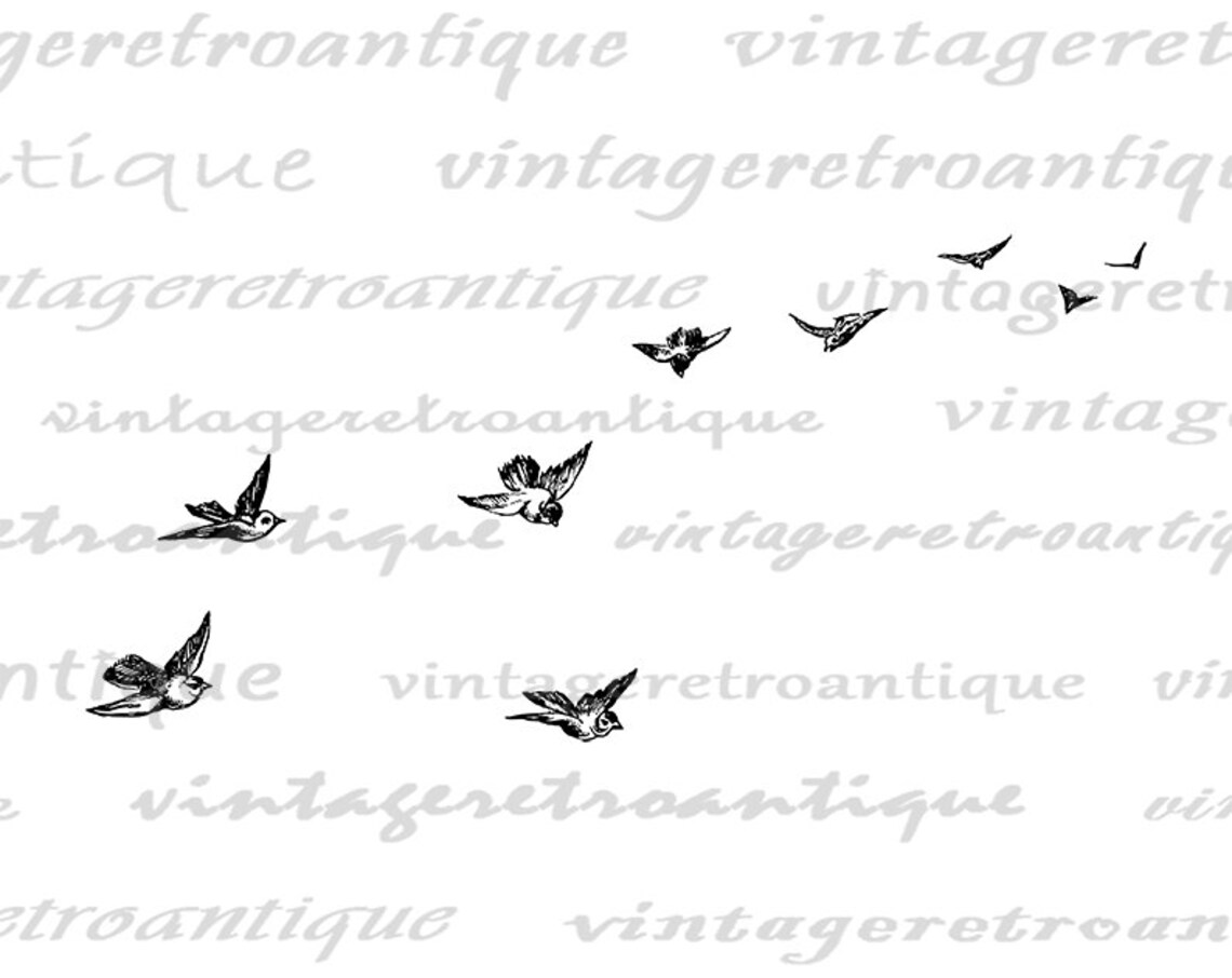 Digital Printable Flying Birds Image Download Graphic - Etsy