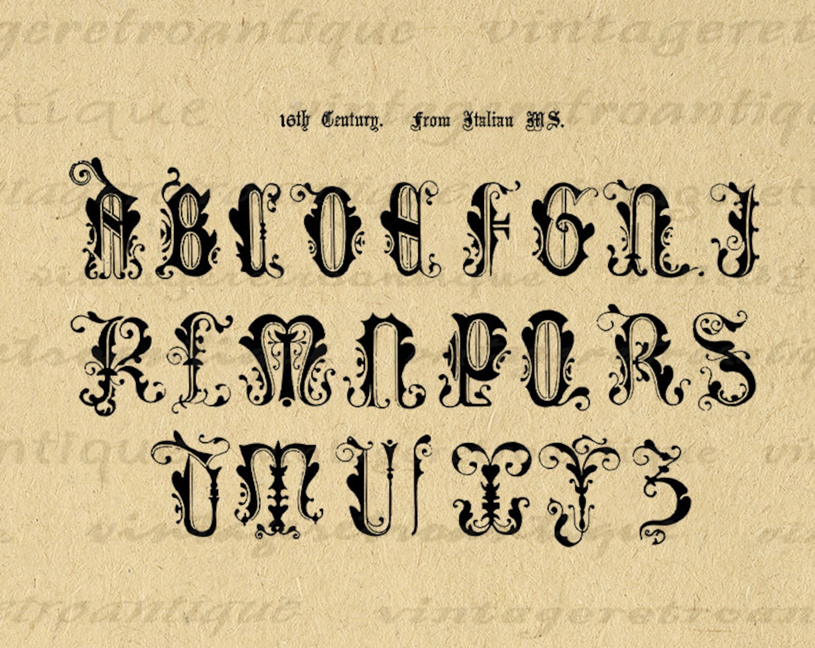 Digital Image Elegant Alphabet Printable Fancy Italian Alphabet Letters ...