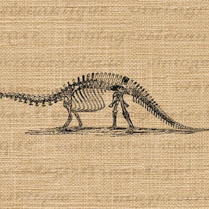 Brontosaurus Dinosaur Skeleton Printable Digital Graphic Image Download ...