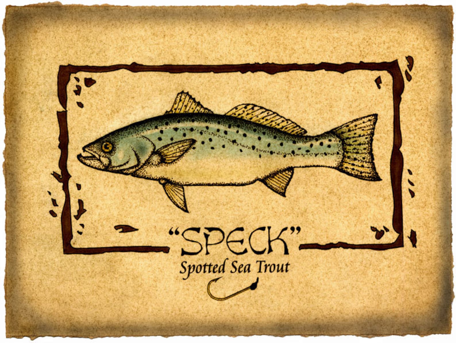 Speckled Trout Art Print 11x14 Spotted Sea Trout Fish - Etsy