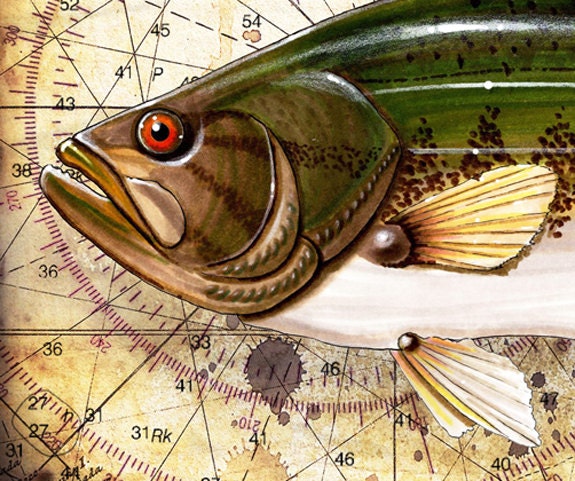 Hand drawn Fish Art 9x12 Fish Prints Largemouth Bass | Etsy