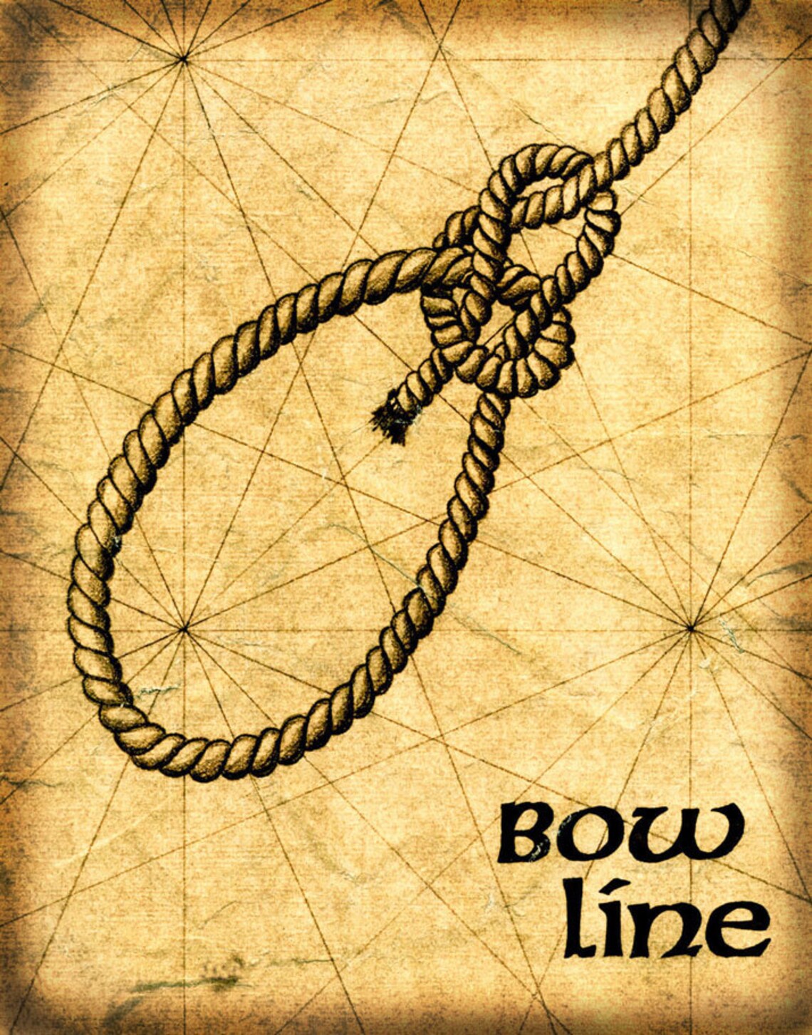 Bow Line Knot Art 8x10- Sailor's Knot Drawing - Bowline - Bow Line ...