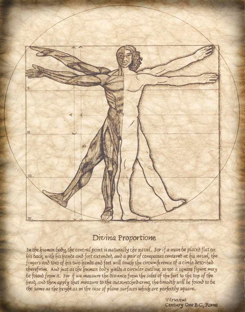 Divine Proportion Artwork 11x14 Vitruvian Man Da | Etsy