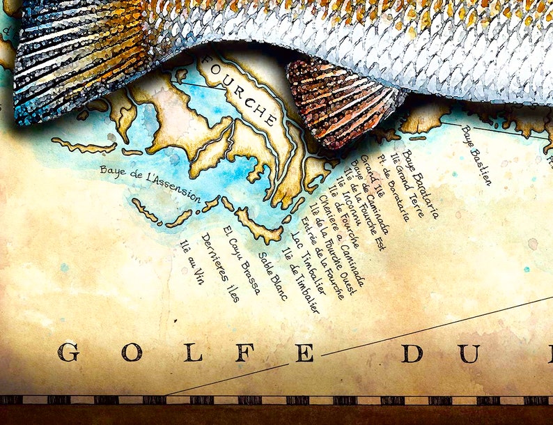 Redfish on Louisiana Map; Hand Drawn Artwork; Redfish; Louisiana ...