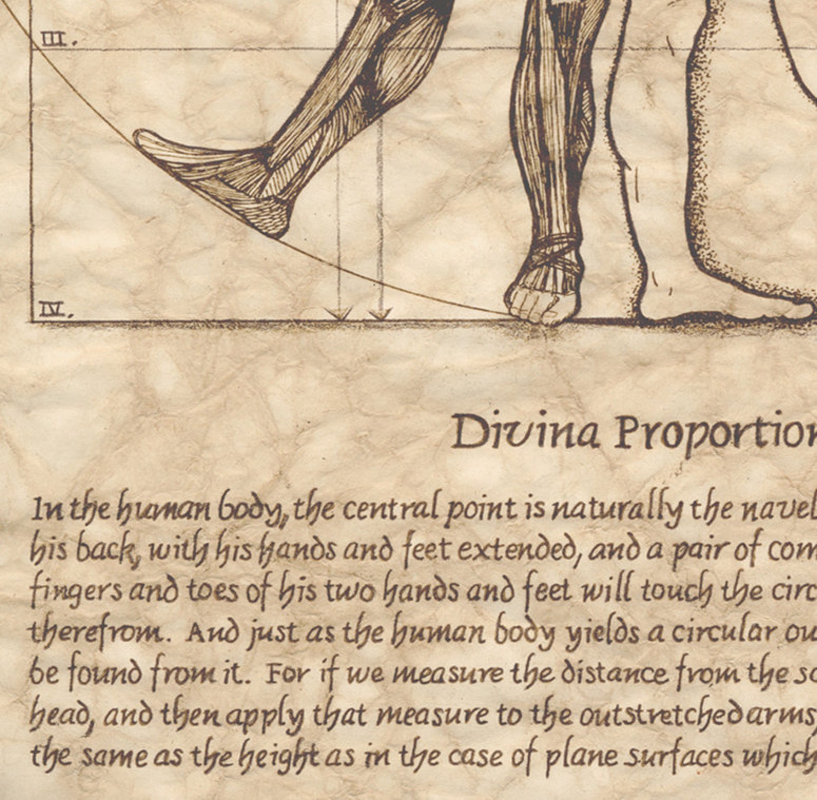 Divine Proportion Artwork 11x14 Vitruvian Man Da - Etsy