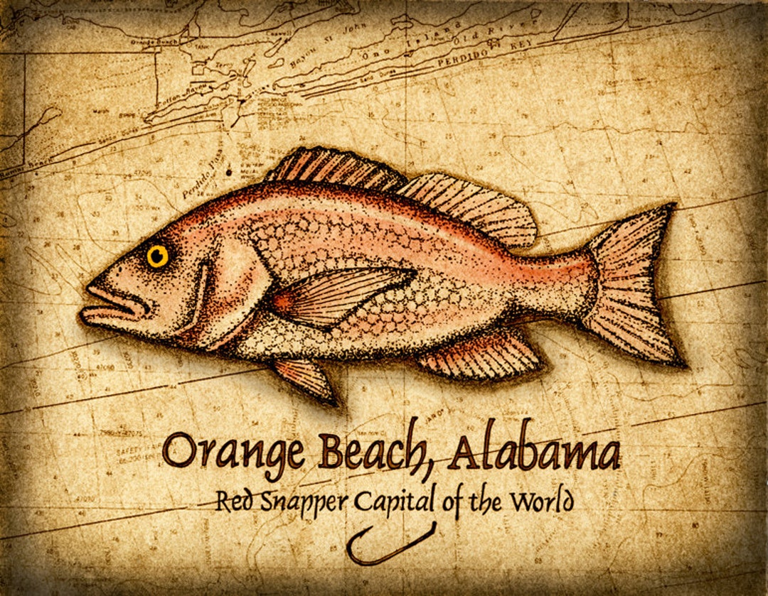 Orange Beach Red Snapper Art Print 11 X 14, Orange Beach Alabama, Deep ...