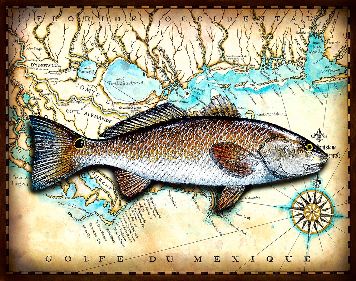 Redfish on Louisiana Map; Hand Drawn Artwork; Redfish; Louisiana ...