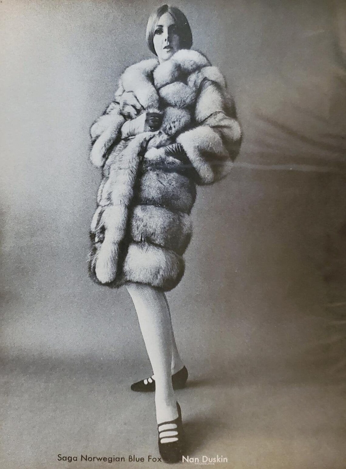 1965 Nan Duskin Saga Norwegian Blue Fox Fur Coat Ad Wall Art | Etsy
