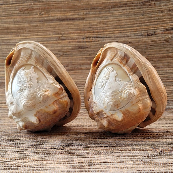 Conch Shell Carvings - Etsy