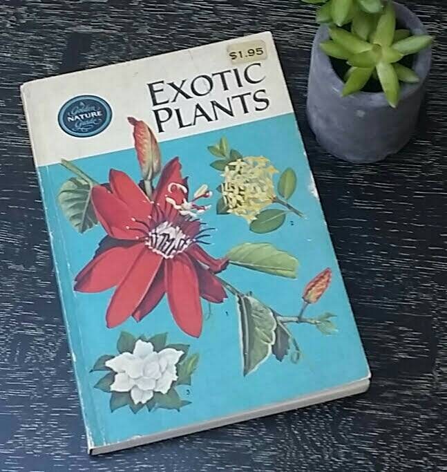 Little Golden Guide Exotic Plants Book by Golden Press & Western ...