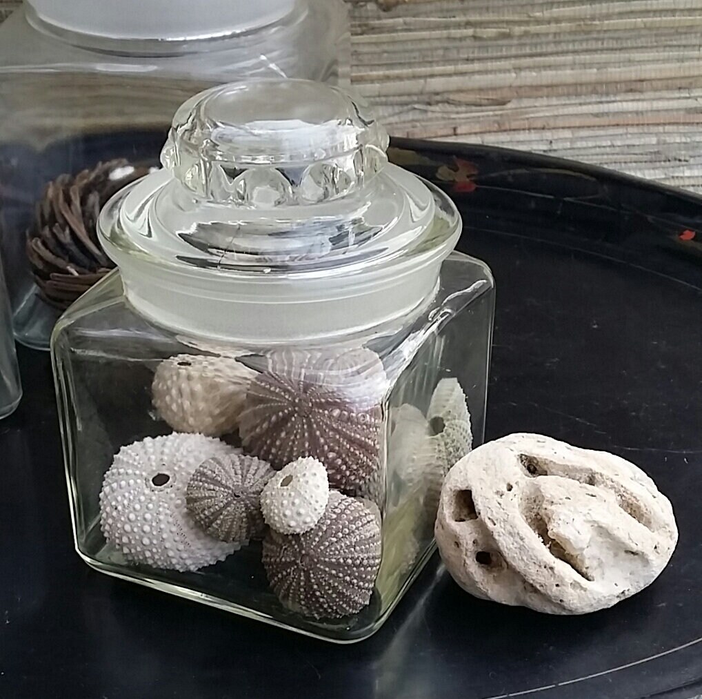 Set of Three Vintage Apothecary Jars Ground Glass Lids Science Glass ...