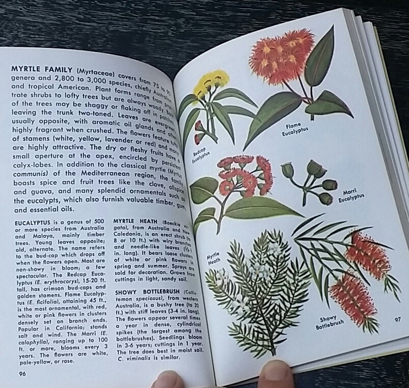 Little Golden Guide Exotic Plants Book by Golden Press & Western ...