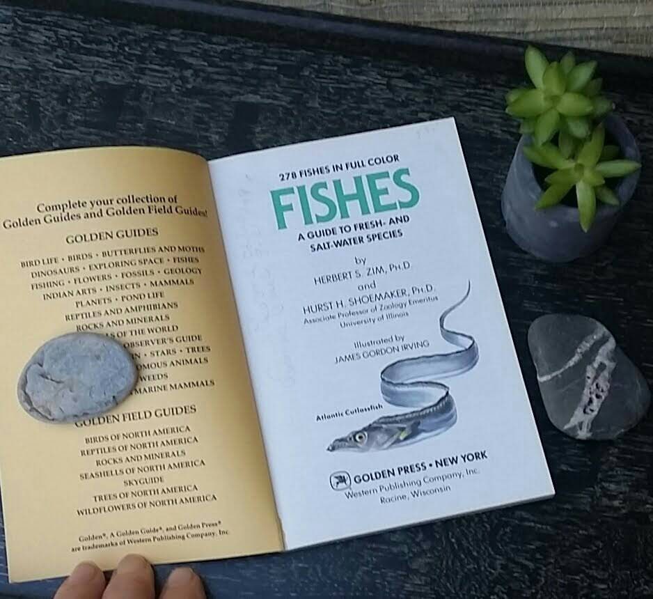 Little Golden Guide Book Fishes by Golden Press New York & Western ...