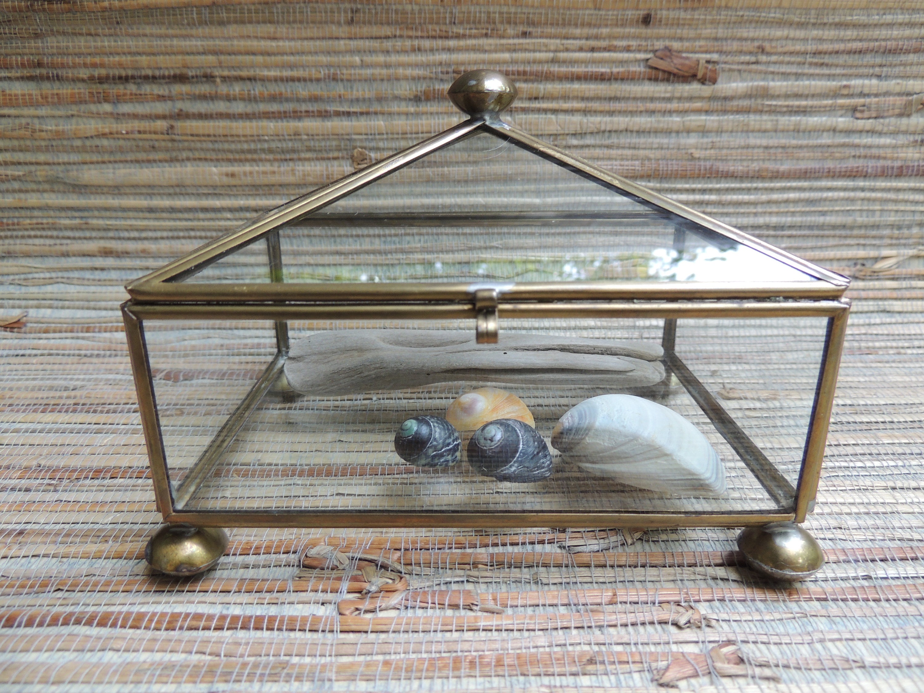 Vintage Glass & Brass Rectangular Display Box Curiosity Case
