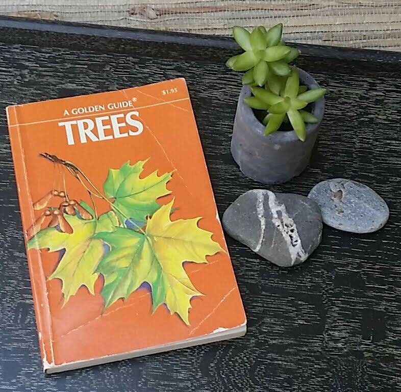 Little Golden Guide Trees by Golden Press New York and Western ...