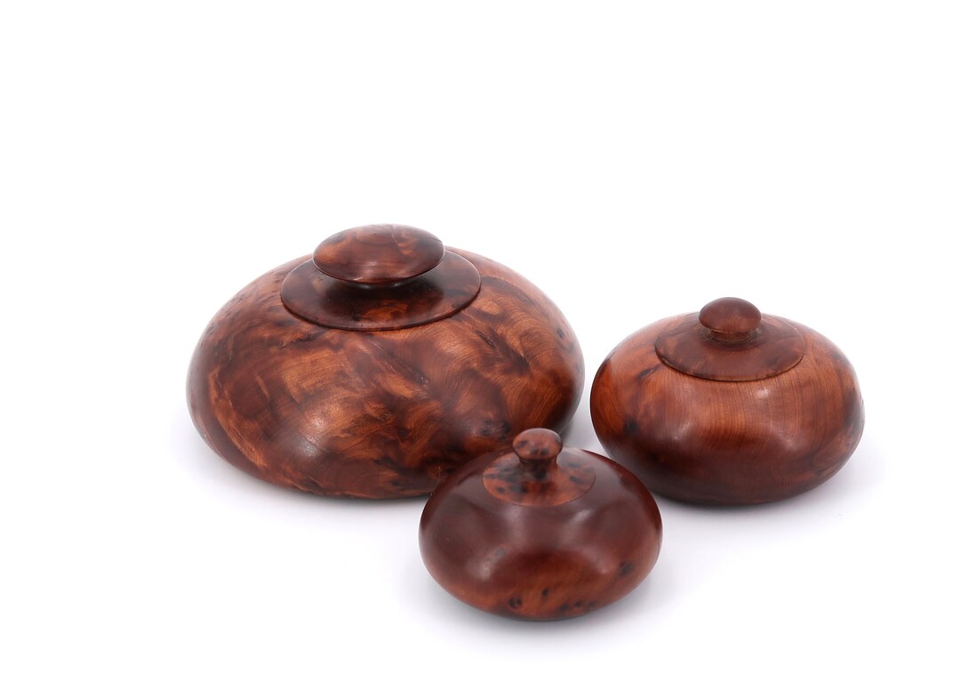 Set of 3 Elm Tree Wood Boxes, 1970s / Cabinet of Curiosities, Desk Case ...