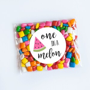 One in a Melon Stickers, Watermelon Theme, First Birthday, Melon ...