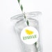 Lemonade Party Cups, 16 Oz, Drinking Cups, First Birthday, Plastic Cups ...