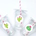 Pink Cactus Party Cups Drinking Cups First Birthday Fiesta - Etsy