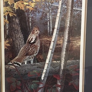 Harry Antis THUNDERBIRD Art Print Collectors Edition Wall Art for Home ...