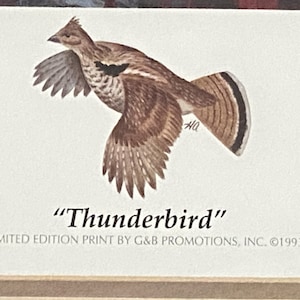 Harry Antis THUNDERBIRD Art Print Collectors Edition Wall Art for Home ...