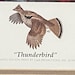 Harry Antis THUNDERBIRD Art Print Collectors Edition Wall Art for Home ...
