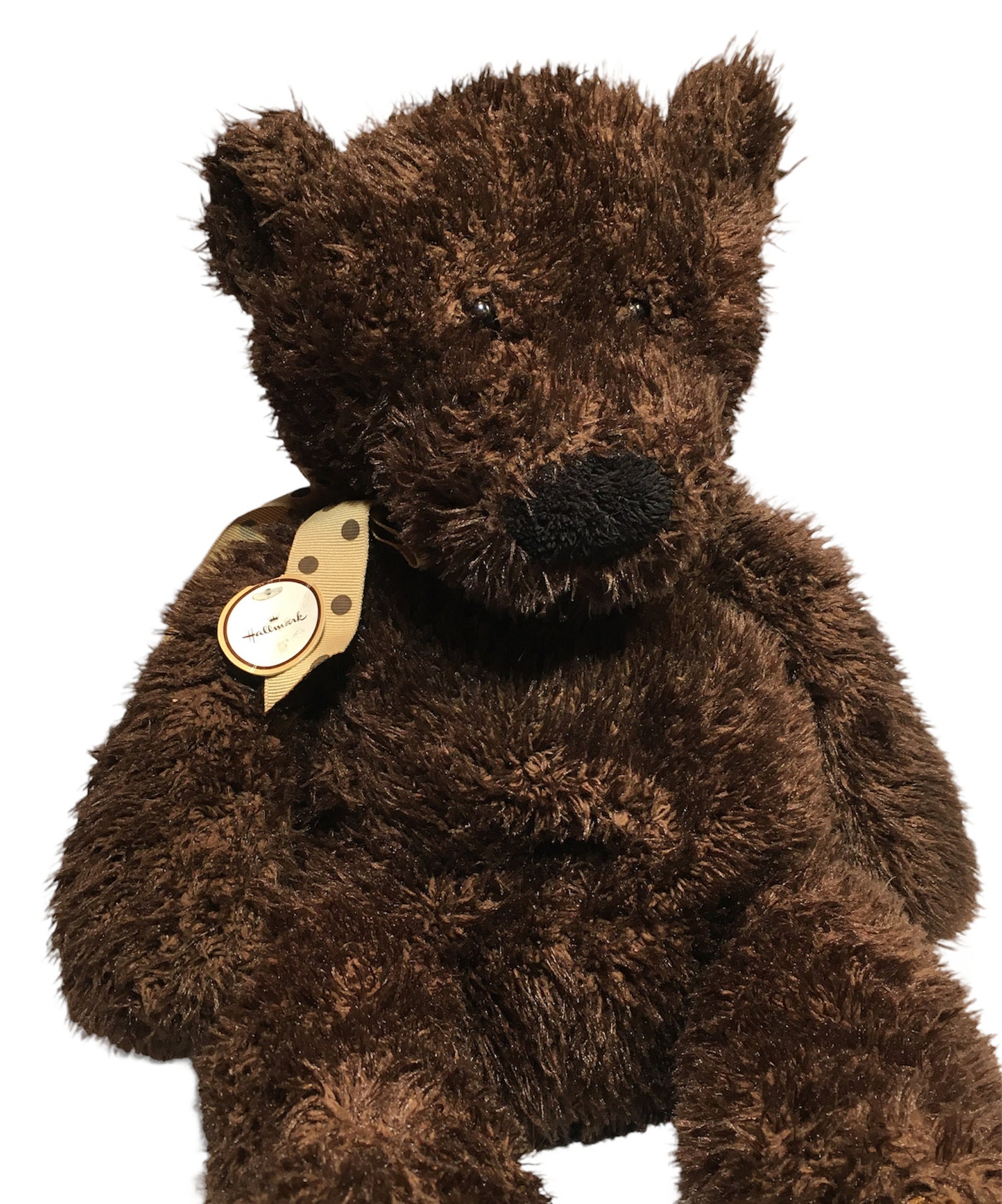 Hallmark Chocolate Brown Teddy Bear Plush Polka Dot Ribbon - Etsy