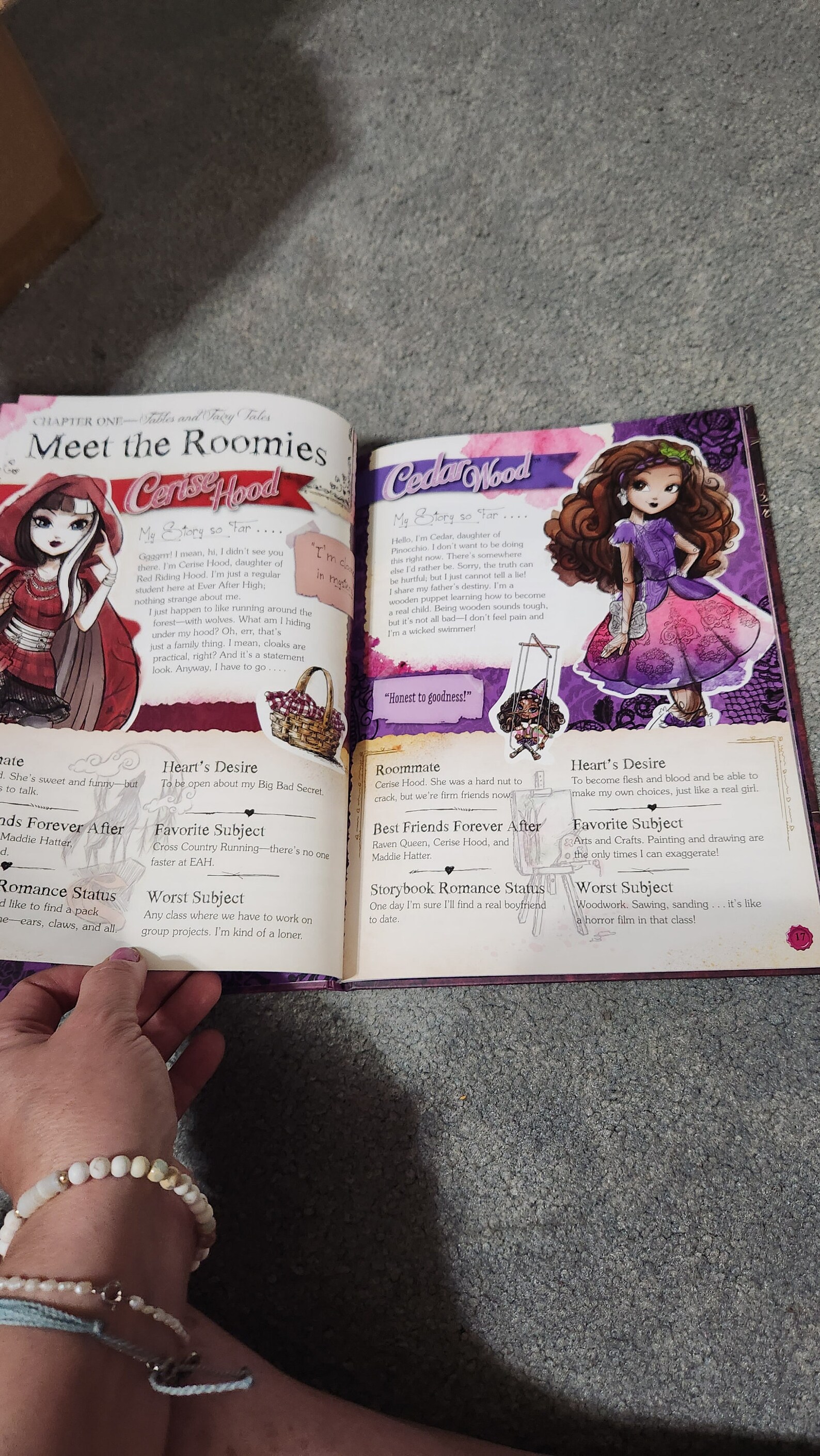 Everafter High Royals and Rebels Hardback Book New Condition - Etsy