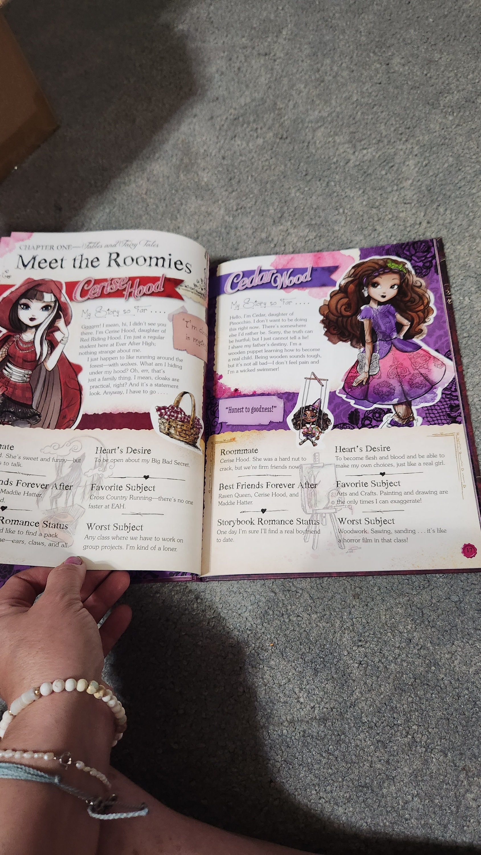 Everafter High Royals and Rebels Hardback Book New Condition - Etsy
