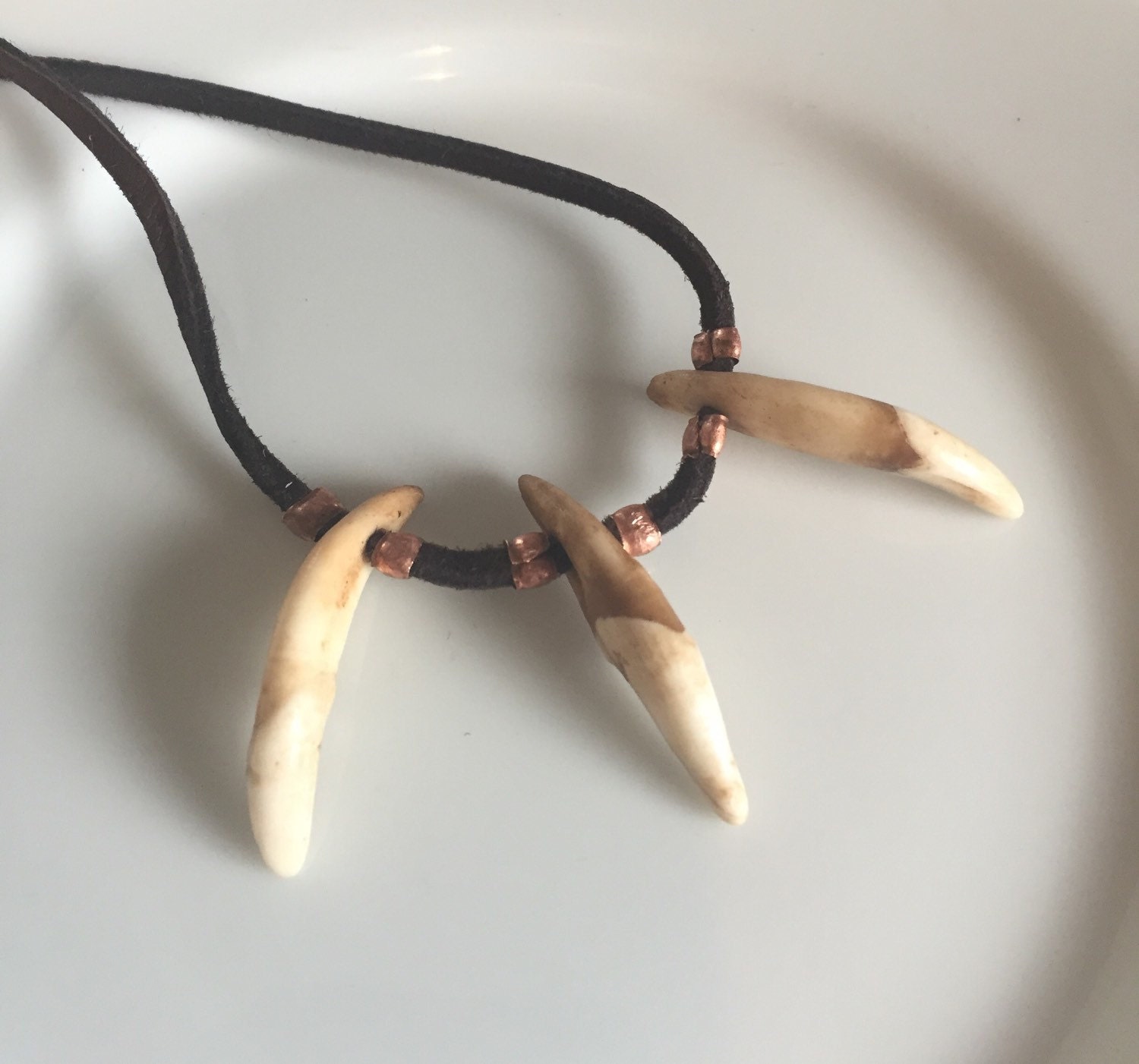 Wolf Tooth Choker on a Dark Brown Deer-skin Leather Cord With - Etsy