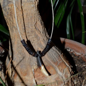 Wolf Tooth Necklace, Mens Wolf Tooth Necklace, Wolf Necklace, Animal ...
