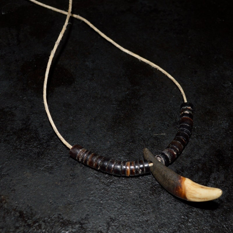 Wolf Tooth Necklace - Etsy