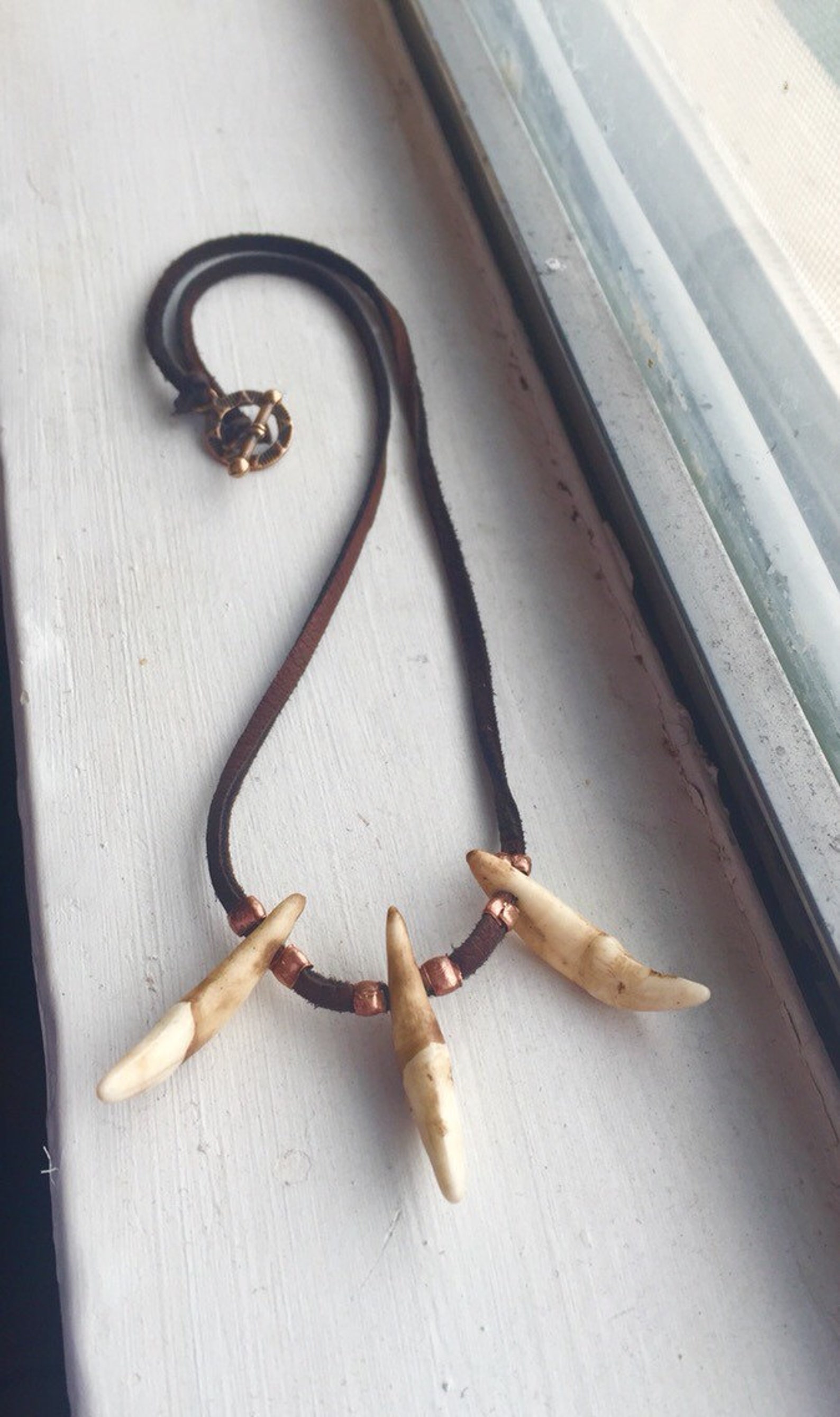 Wolf Tooth Choker on a Dark Brown Deer-skin Leather Cord With - Etsy