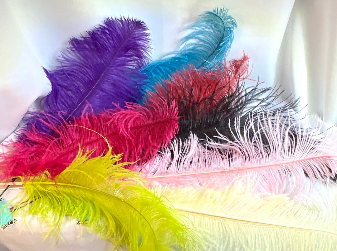 ADD-ON A Feather for Your Cap - Choose an Egret Feather - Etsy