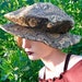 Tropical Colors Renaissance Tudor Flat Cap - Etsy