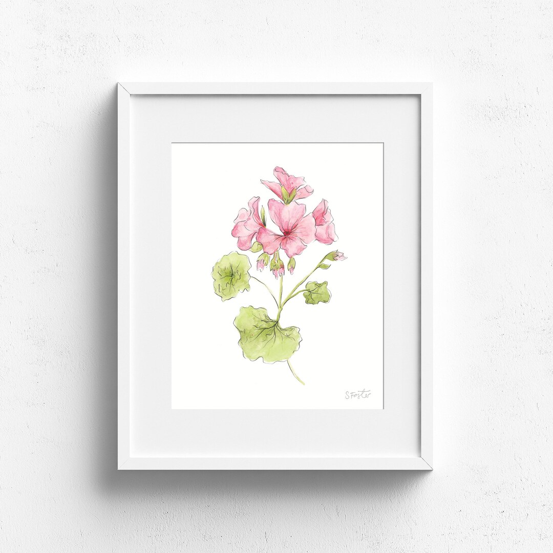 Geranium plant Giclee print Wall Art Poster Art Flower - Etsy.de