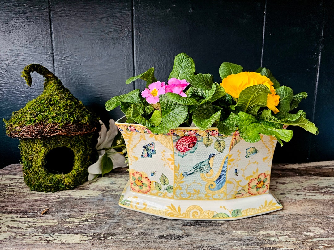 Spode Jardiniere/planter - Etsy