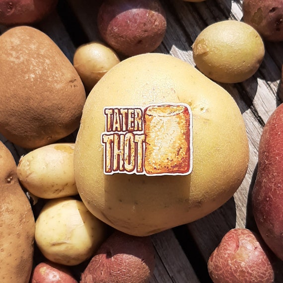 Tater Thot
