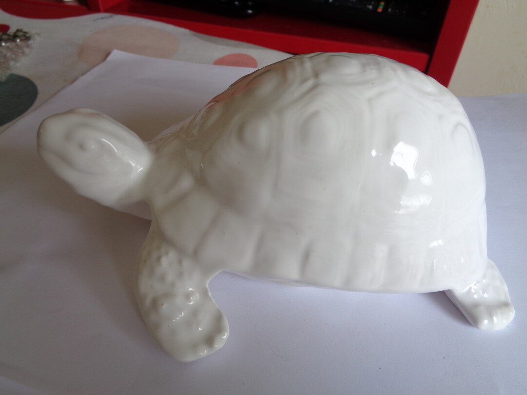 Vintage Cute Stamped Poole Ceramic White Tortoise Rare - Etsy