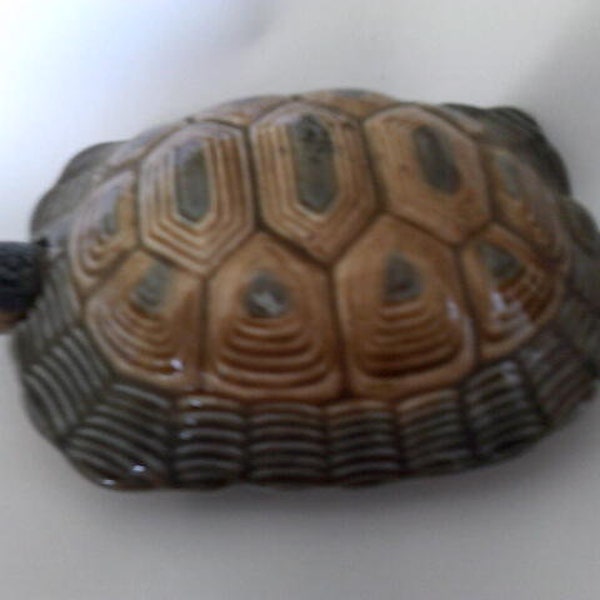 Ceramic Tortoise - Etsy