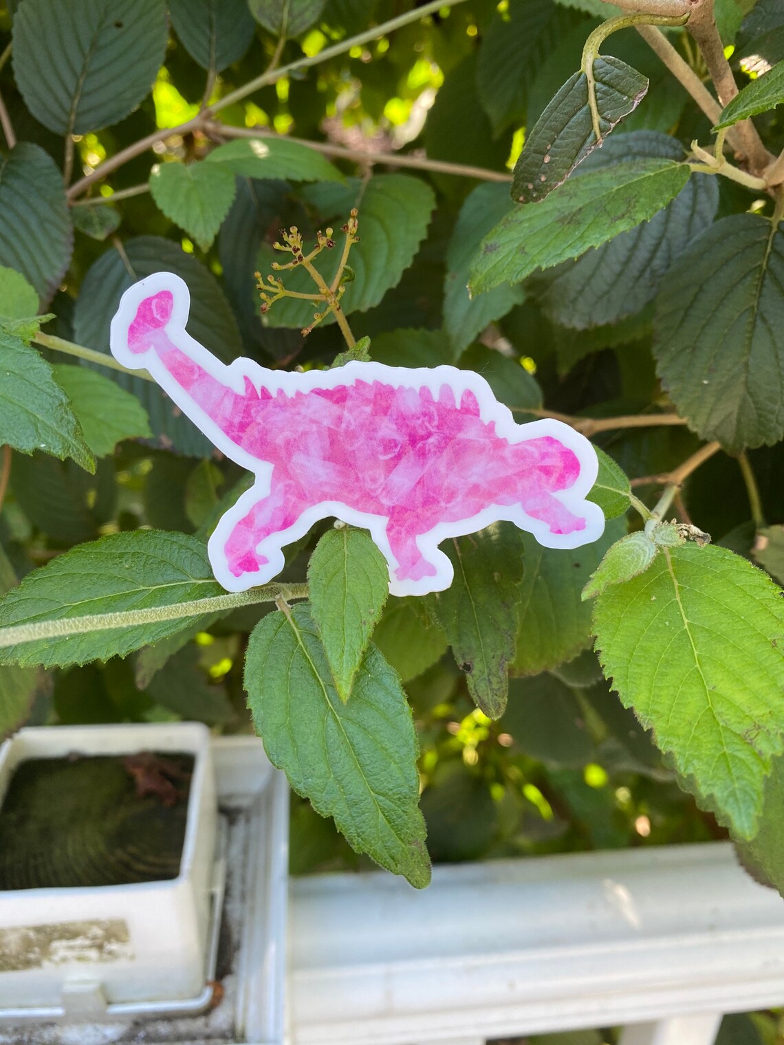 Dinosaur Sticker Ankylosaurus Vinyl Weatherproof Sticker | Etsy