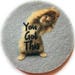You Got This, Funny, Cat Car Coasters for Your Car's Cup Holder - Can ...